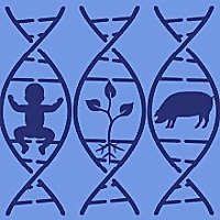 Top 60 Biology Journals To Follow in 2021