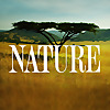 80 Nature Youtube Channels for Nature Lovers & Naturalists