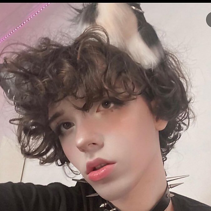 Top 30 Femboy OnlyFans Influencers in 2026