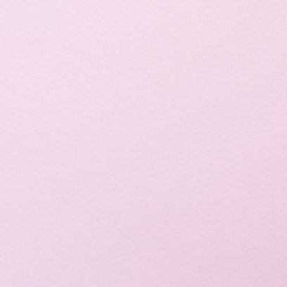 Top 80 Texas Onlyfans Influencers in 2025